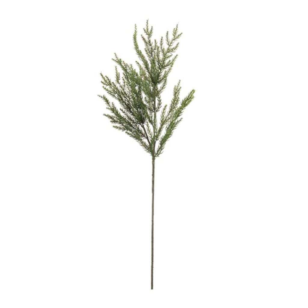 Mr. Plant Gran gren - 40 - Trendbazaar.dk