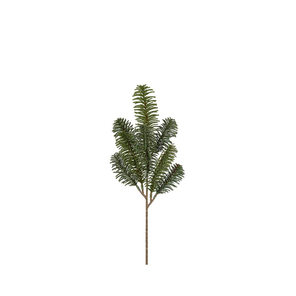 Mr. Plant Gran gren - 40 - Trendbazaar.dk